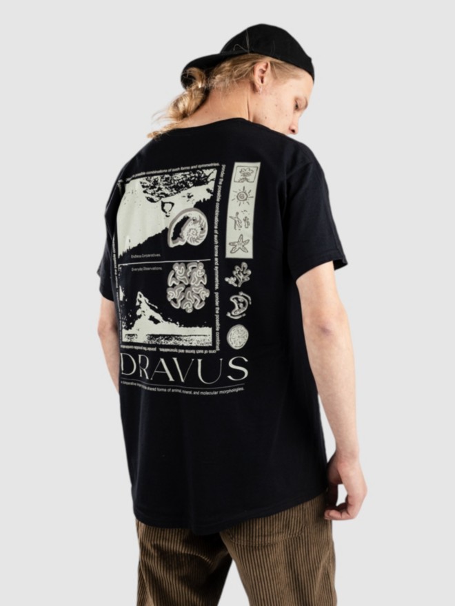 Dravus Collection | Find Your Favorites