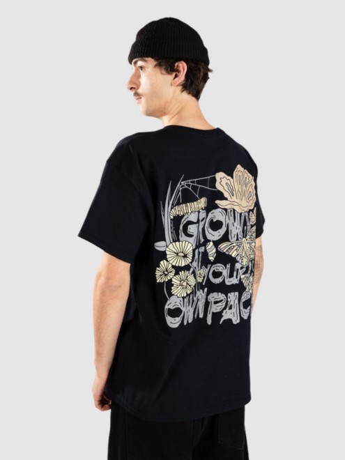 Dravus Collection | Find Your Favorites