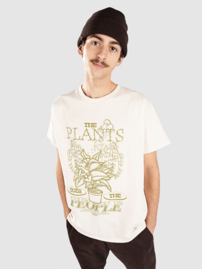 Dravus Collection | Find Your Favorites