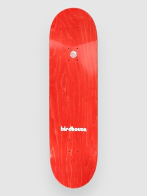 Birdhouse Sloan Todaro 8.75″ Planche de skate - acheter maintenant | ID ...