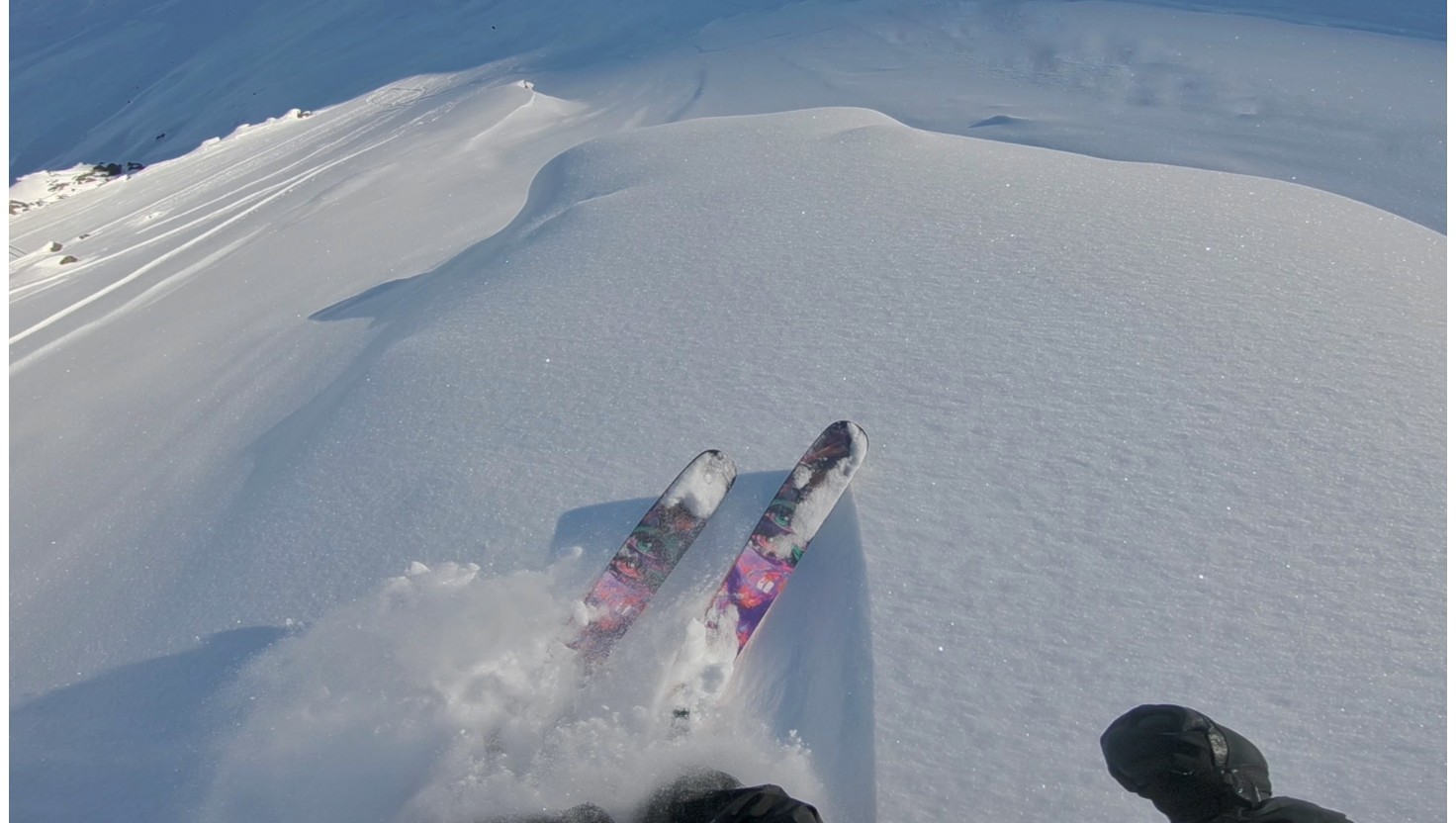 Which Freeskis Should I Buy? | Blue Tomato