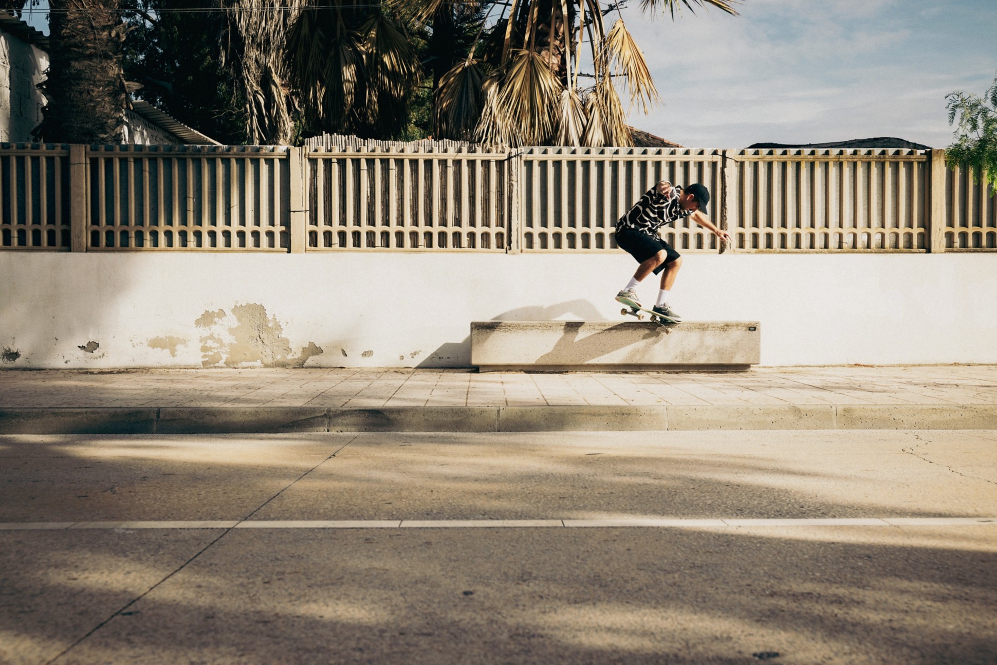 The best skateboard brands 2024 | Blue Tomato